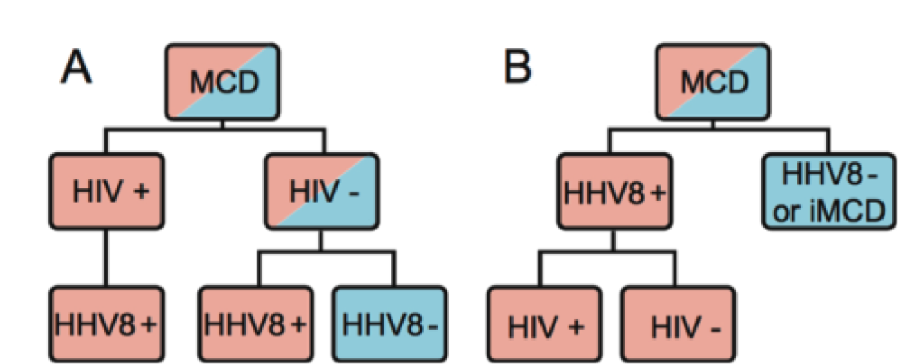 CDCN Researchers Publish Article on MCD Classification - CDCN