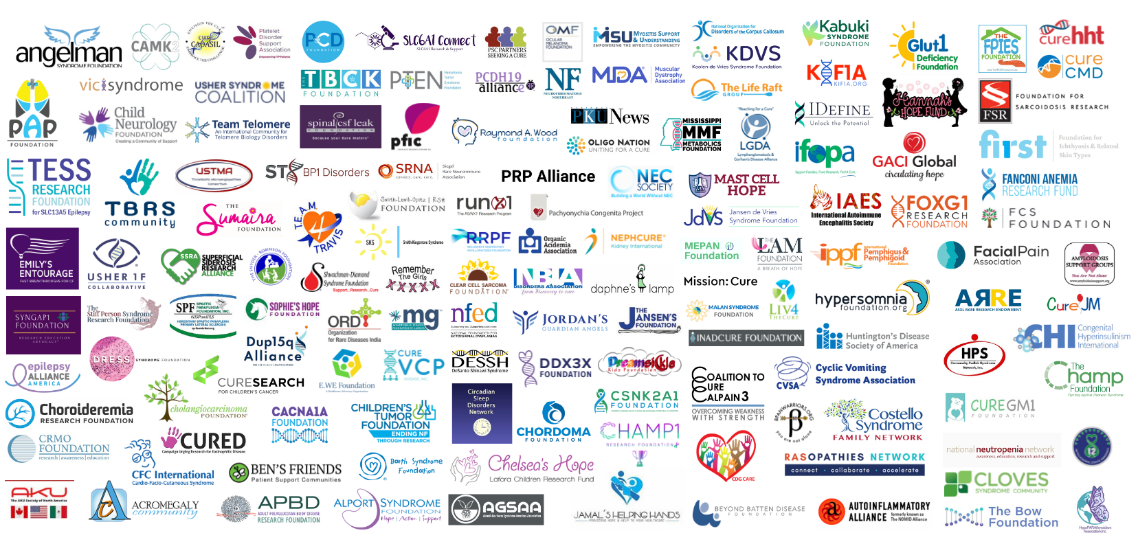 ROADMAP Project - CDCN