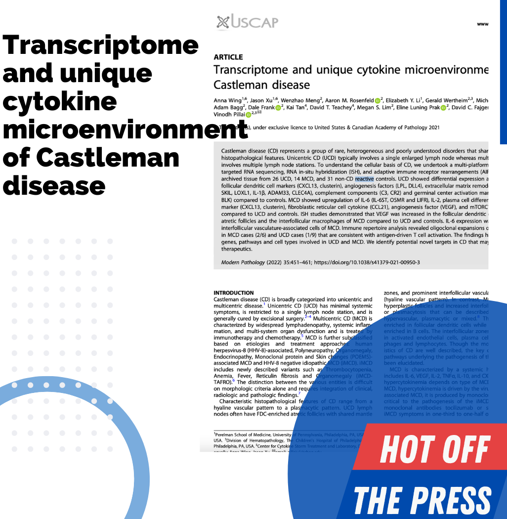 Transcriptome and unique cytokine microenvironment of CD - CDCN